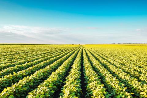 HB RTS | Your total supplier for an optimal supply chain